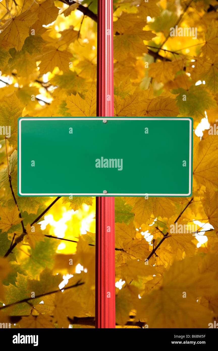 blank green traffic sign Stock Photo - Alamy