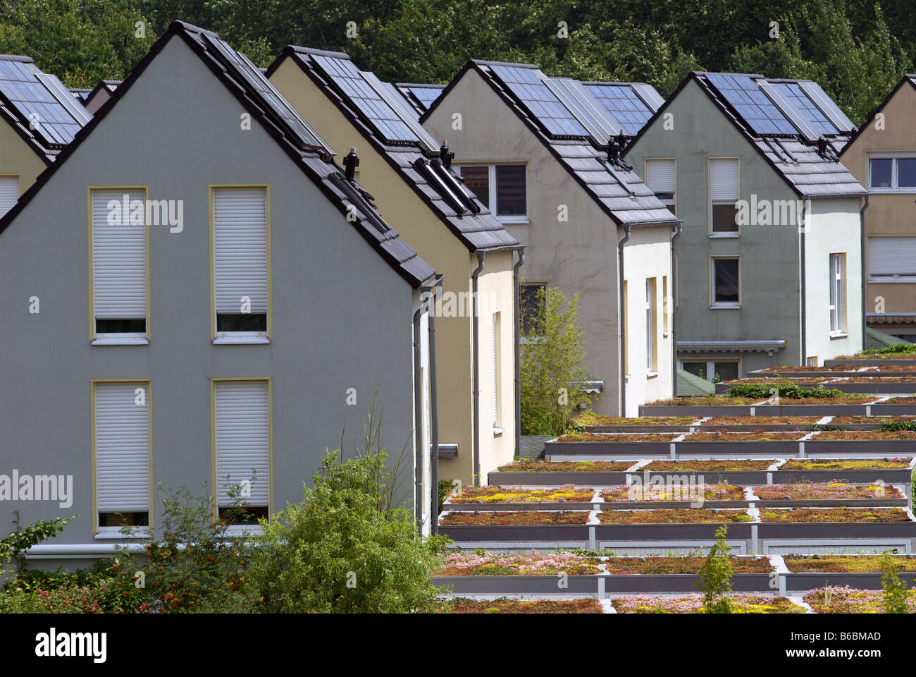 Eco-homes with Photovoltaic panels on a solar housing estate ...