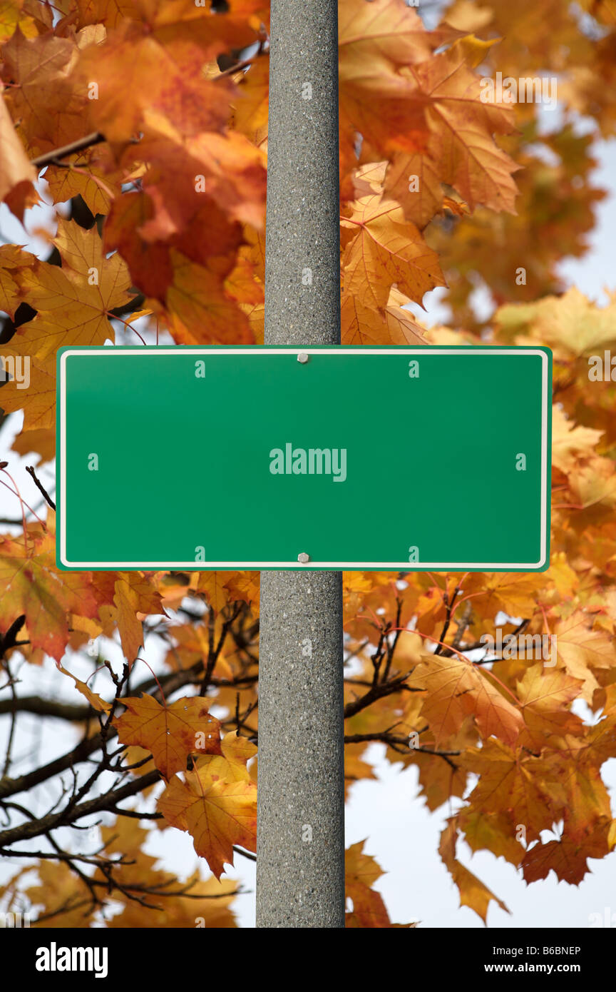 blank green traffic sign Stock Photo - Alamy