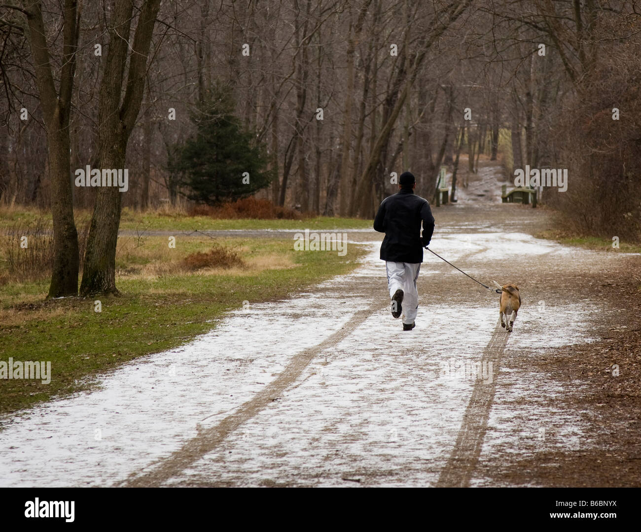 Runner man dog hi-res stock photography and images - Alamy