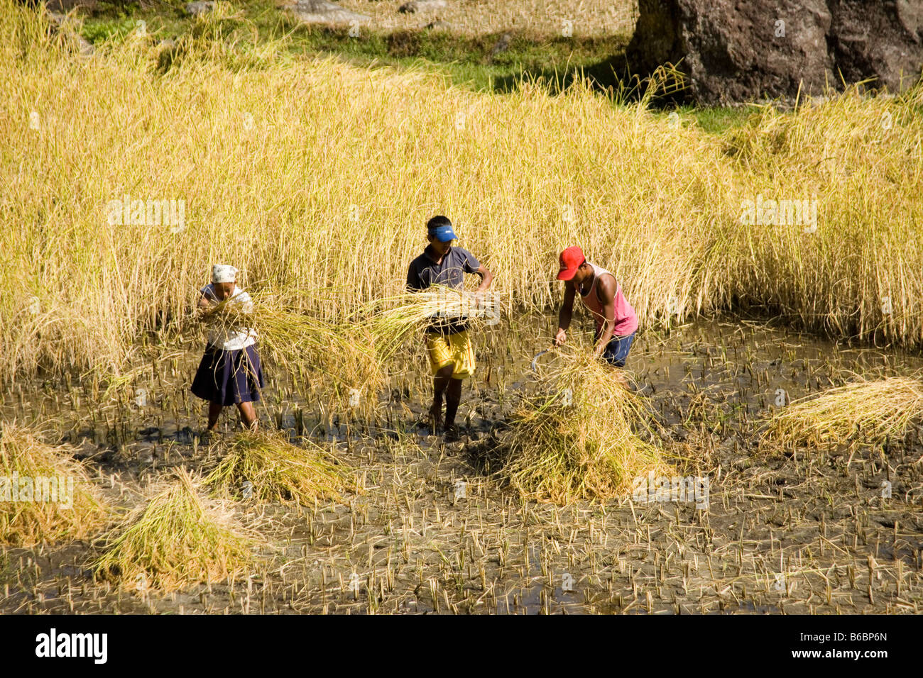 Nepal irrigation hi-res stock photography and images - Alamy