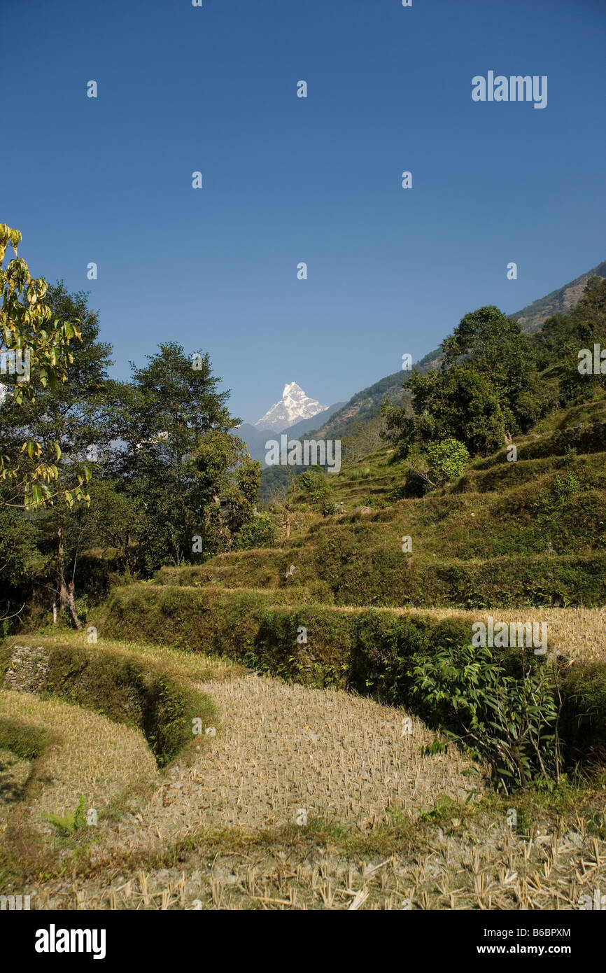 Modi river valley hi-res stock photography and images - Alamy