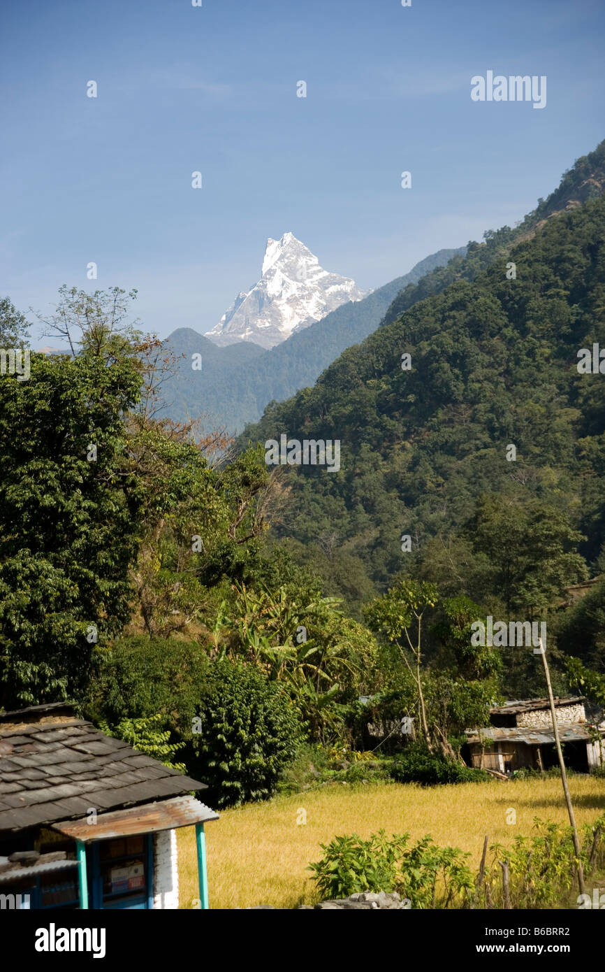 Fishtail Mountain from the Modi river Valley in the Annapurna range ...
