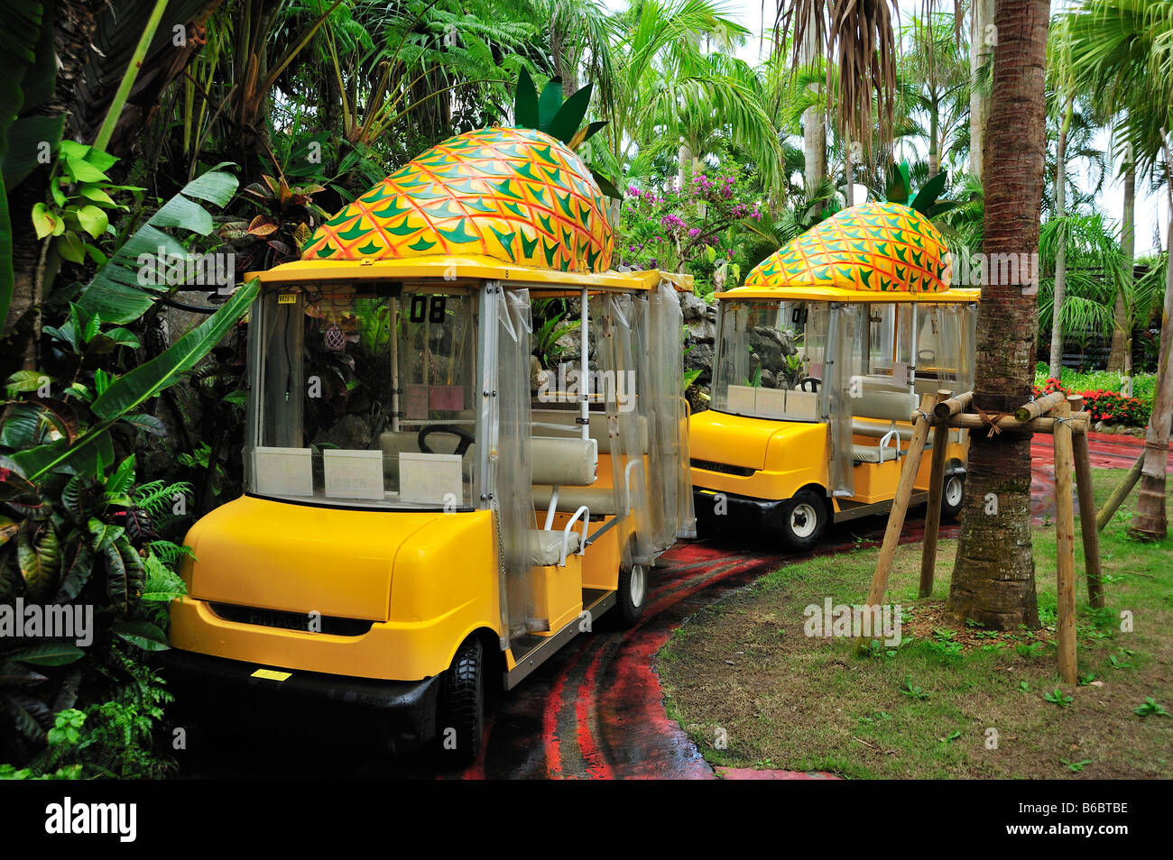 Nago japan hi-res stock photography and images - Alamy