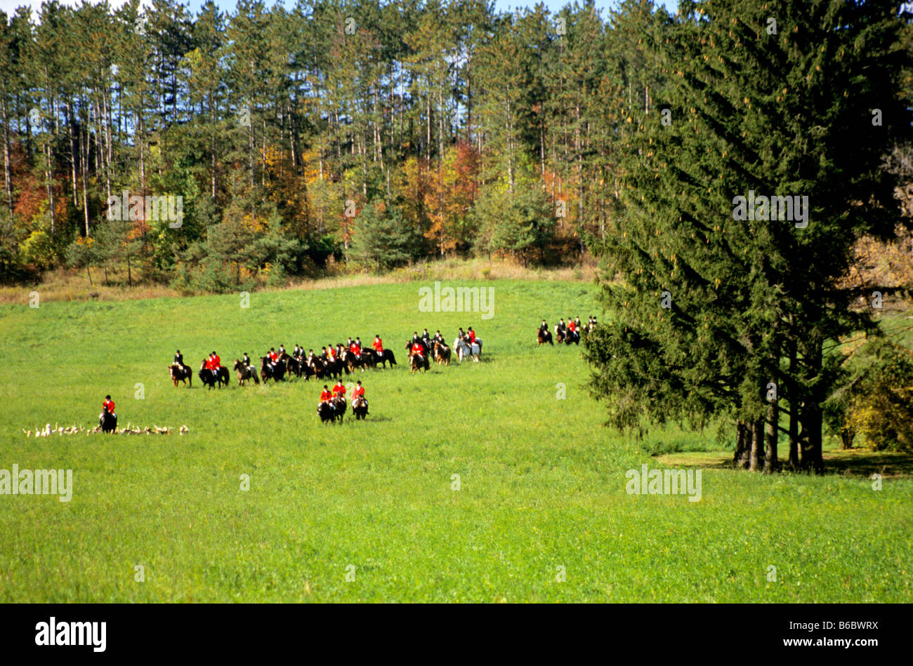 Caledon forest hi-res stock photography and images - Alamy