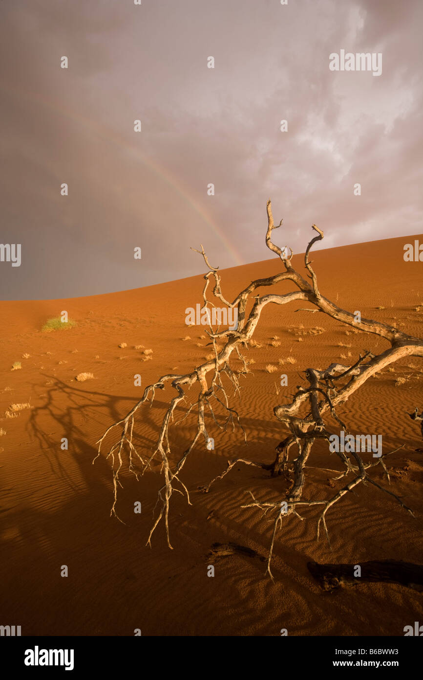 Sossusvlei namibia storm clouds hi-res stock photography and images - Alamy