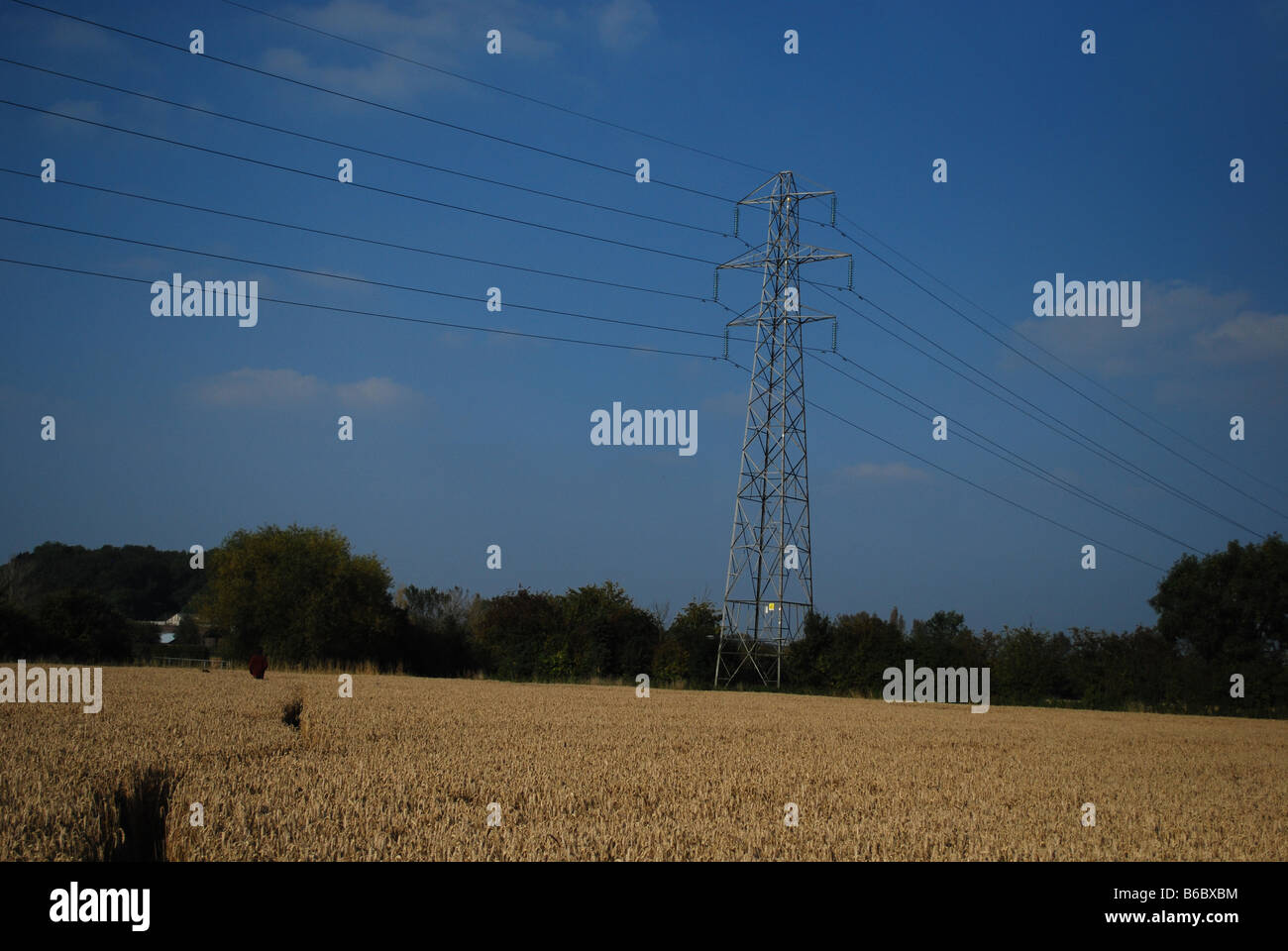 power line to pylon with a big blue sky and a small amount of corn ...