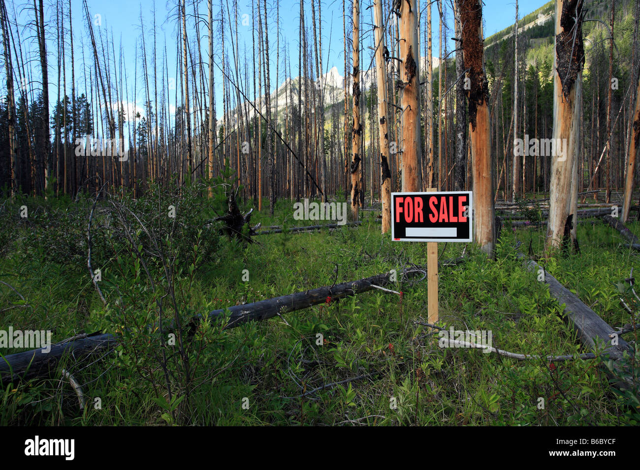 Banff national park destruction hi-res stock photography and images - Alamy
