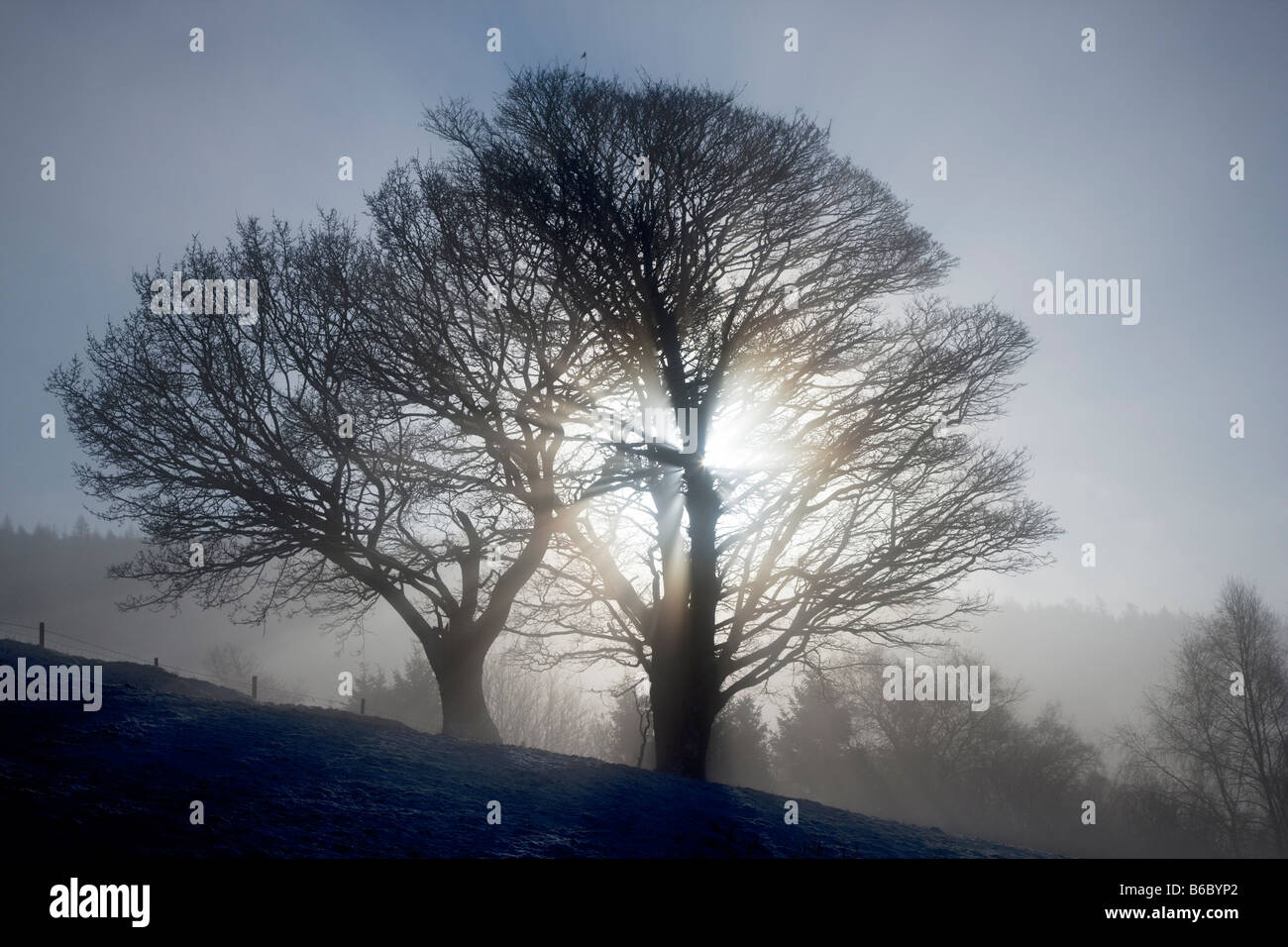 Yorkshire moors hi-res stock photography and images - Alamy