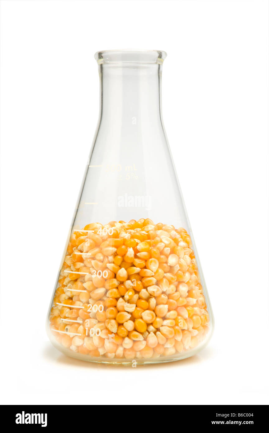 Corn research lab hi-res stock photography and images - Alamy