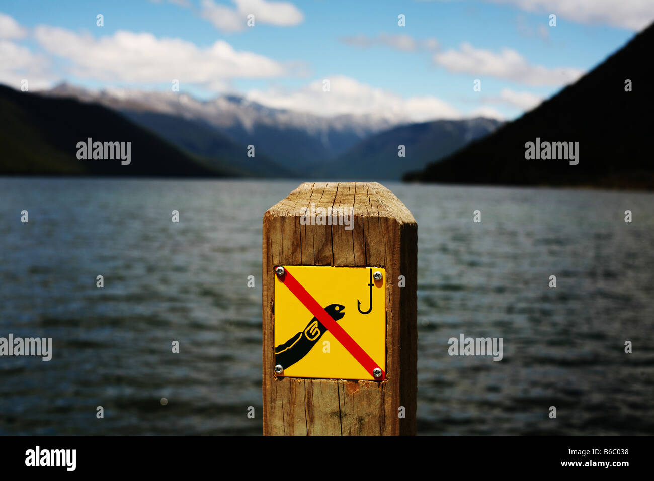 Eels new zealand hi-res stock photography and images - Alamy