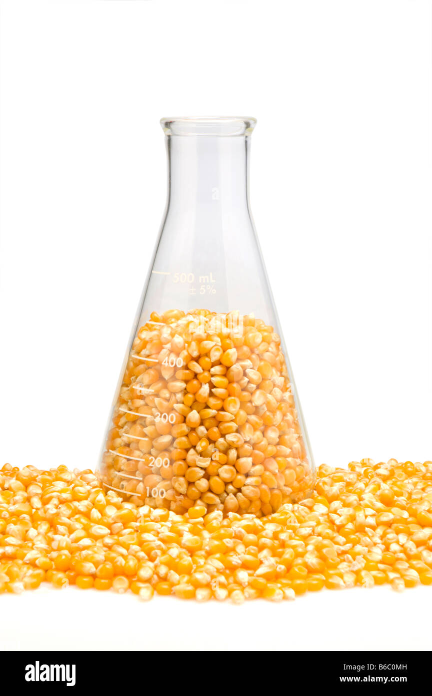 Full crop Cut Out Stock Images & Pictures - Alamy