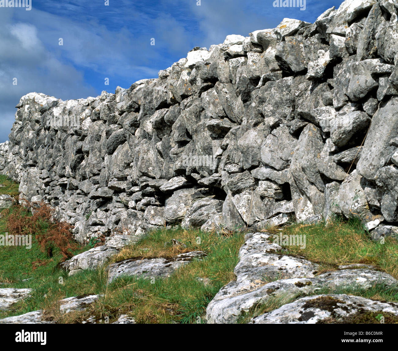 large high stone wall forming field divisions on irelands west coast ...