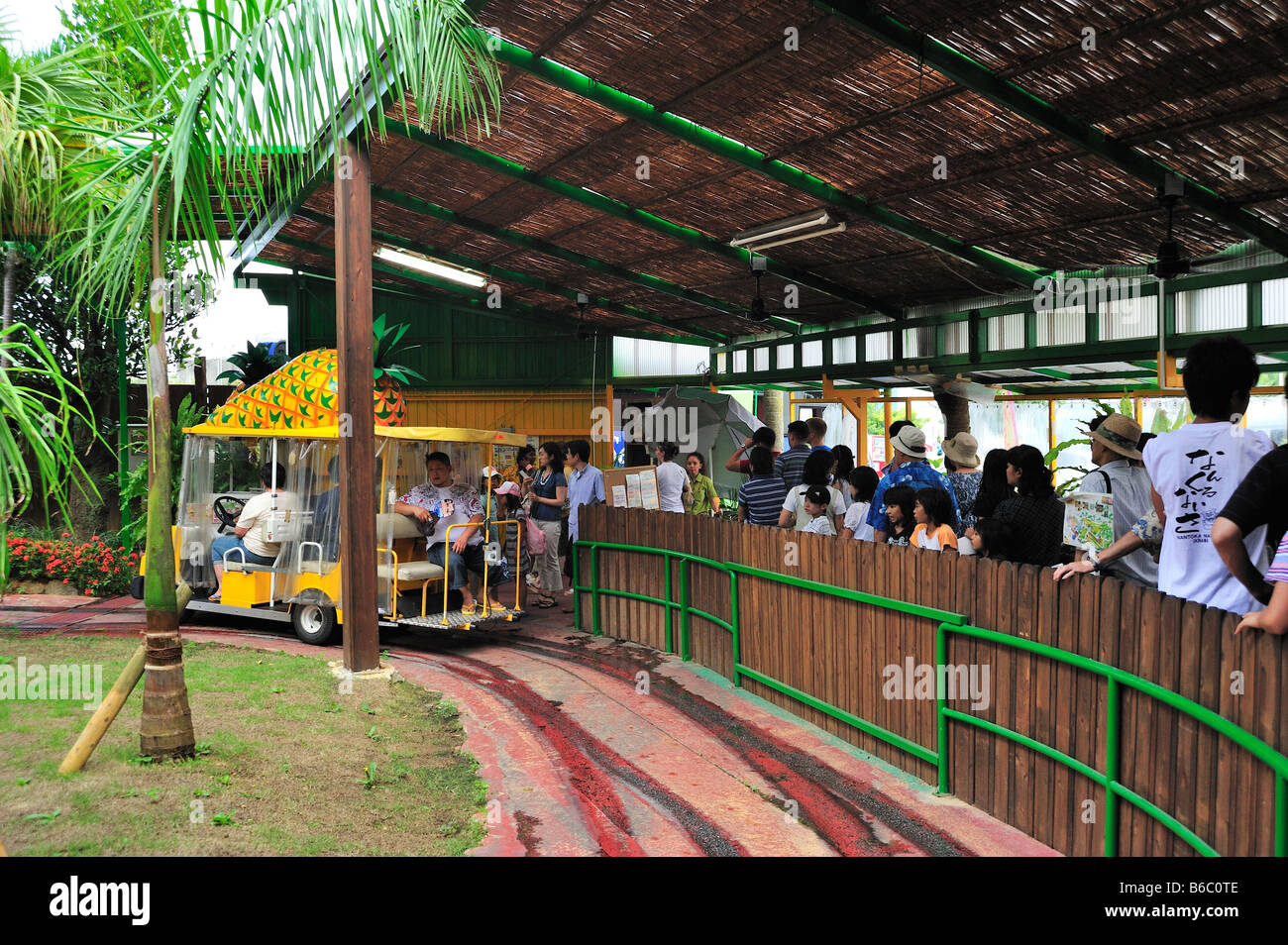 Pineapple Park, Nago City, Okinawa, Japan Stock Photo - Alamy