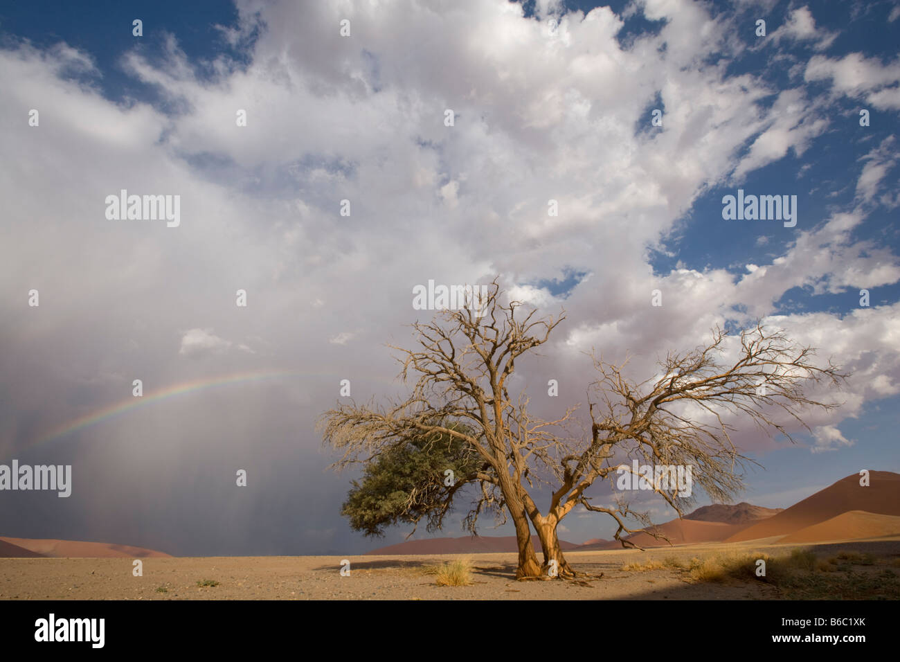 Africa Namibia Namib Naukluft National Park Rainbow and rain clouds ...