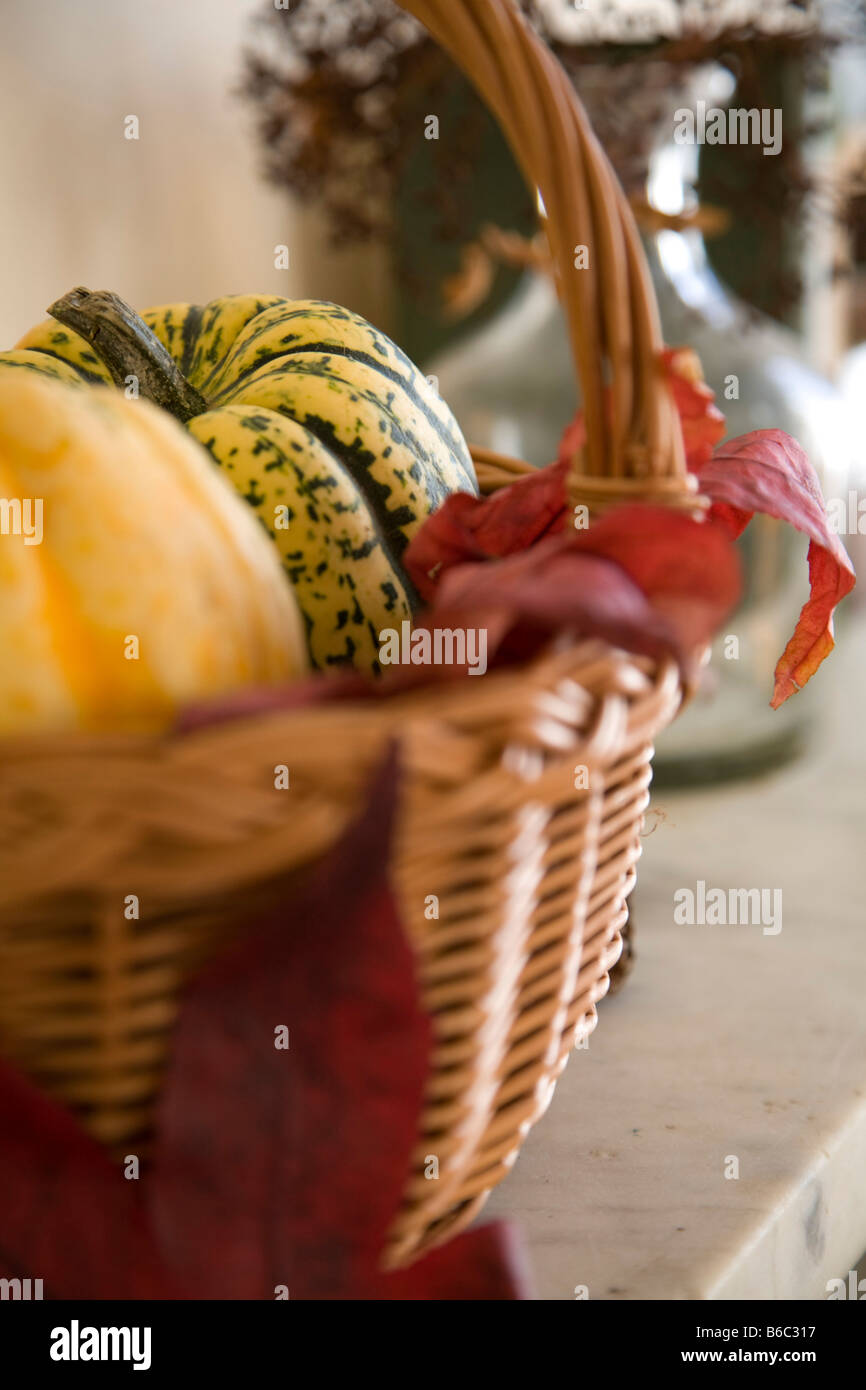Squashes squash hi-res stock photography and images - Alamy