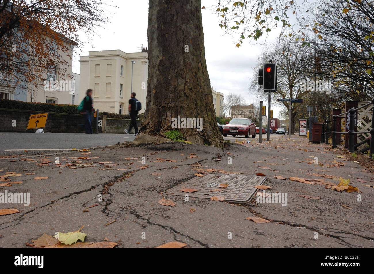 Root access hi-res stock photography and images - Alamy