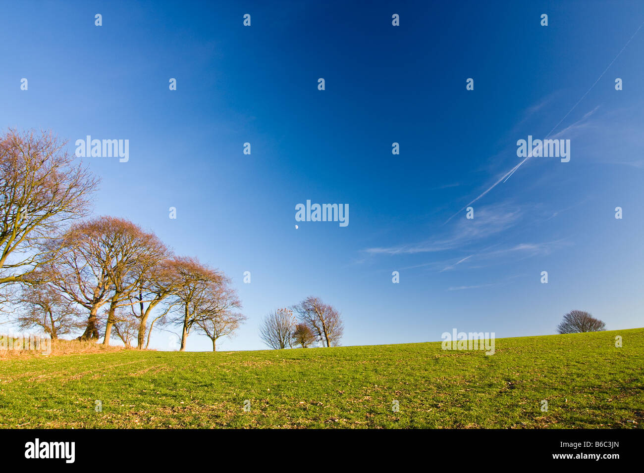 Half way tree hi-res stock photography and images - Alamy