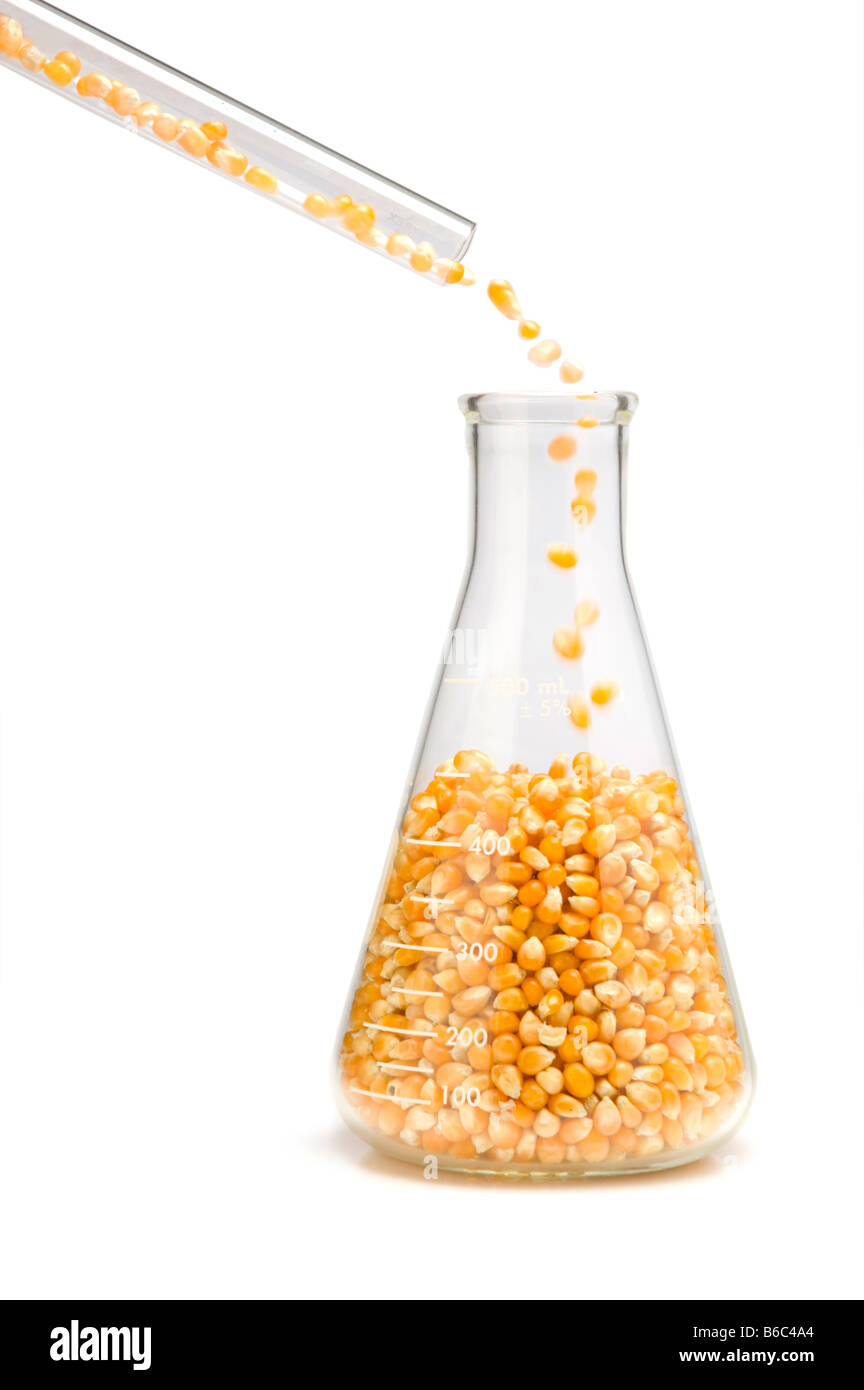 Flask corn hi-res stock photography and images - Alamy