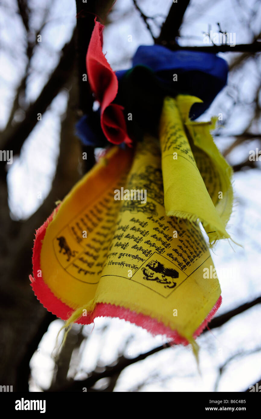 Prayer Flag Stock Photo - Alamy