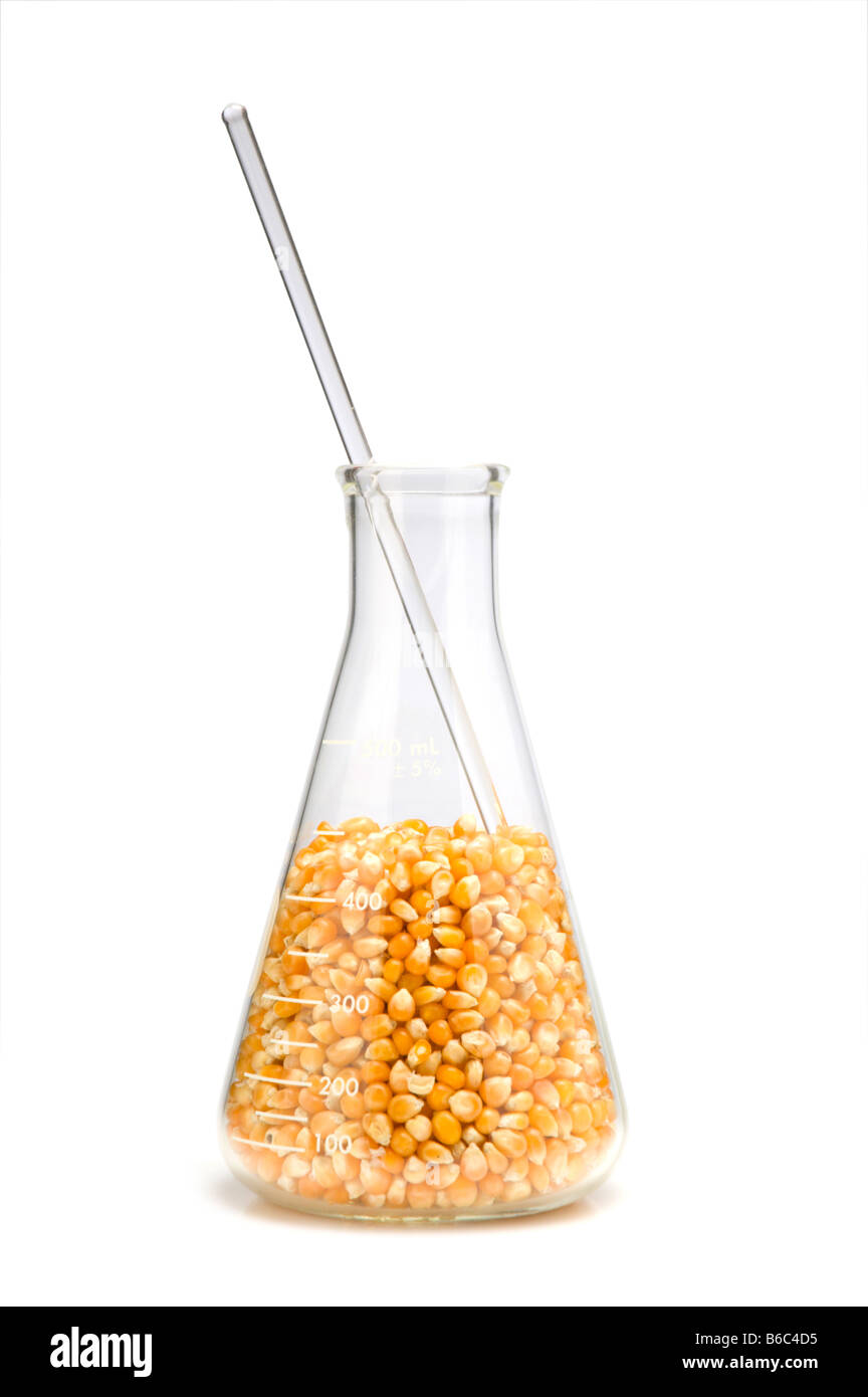 A flask filled with corn Stock Photo - Alamy