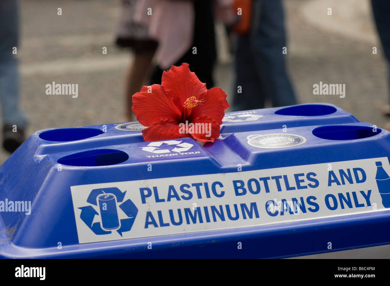 recycle bin with hibiscus flower on top at Downtown Arts Festival ...