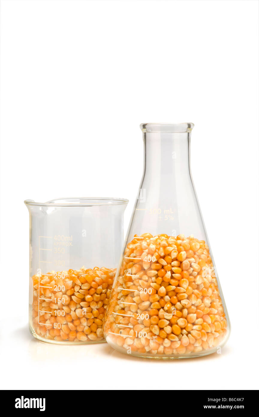 A flask and beaker filled with corn Stock Photo - Alamy