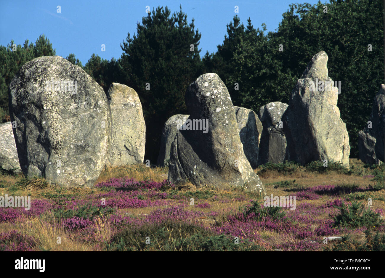 Alignment of Kermario, Prehistoric Megalith, Menhirs or Standing Stones ...