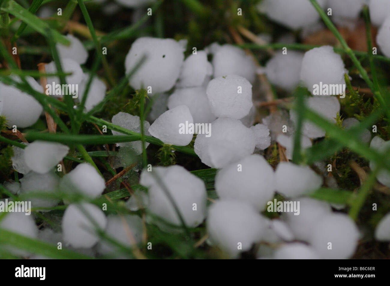 hail balls on the ground Stock Photo - Alamy