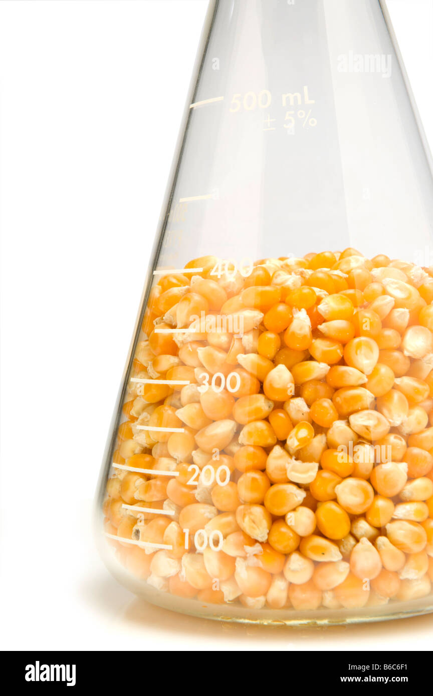 Research corn energy hi-res stock photography and images - Alamy