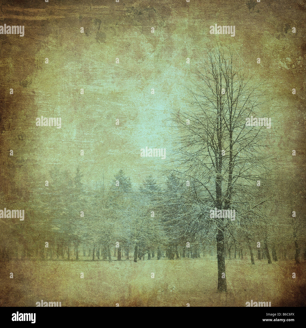 Bleached paper hi-res stock photography and images - Alamy