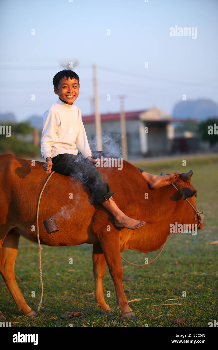 Vietnamese boy riding cow hi-res stock photography and images - Alamy
