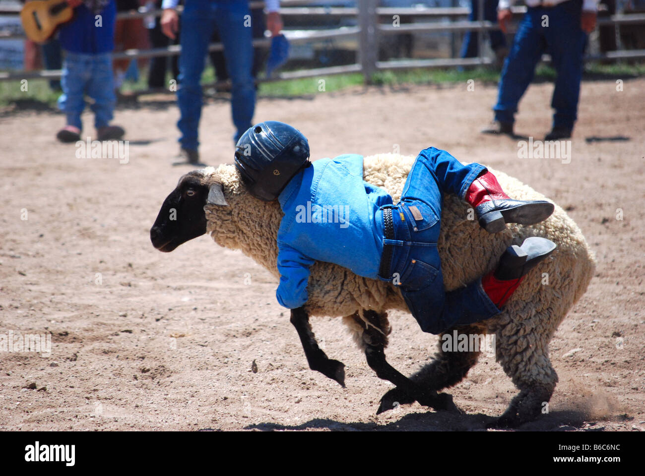 Mutton busting hi-res stock photography and images - Alamy