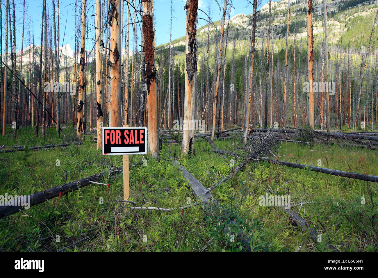 Banff national park destruction hi-res stock photography and images - Alamy