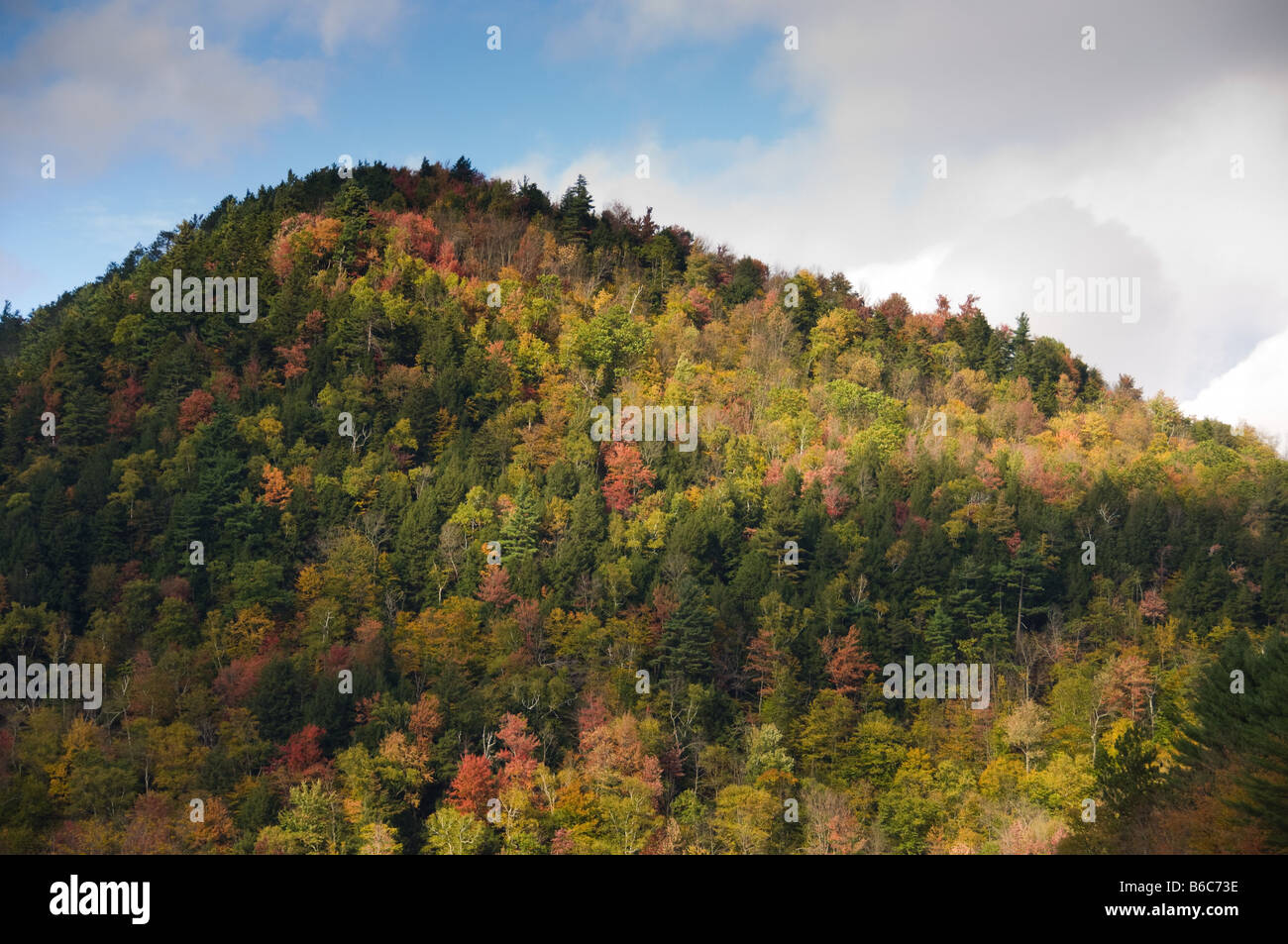 Palette of fall colours hi-res stock photography and images - Alamy