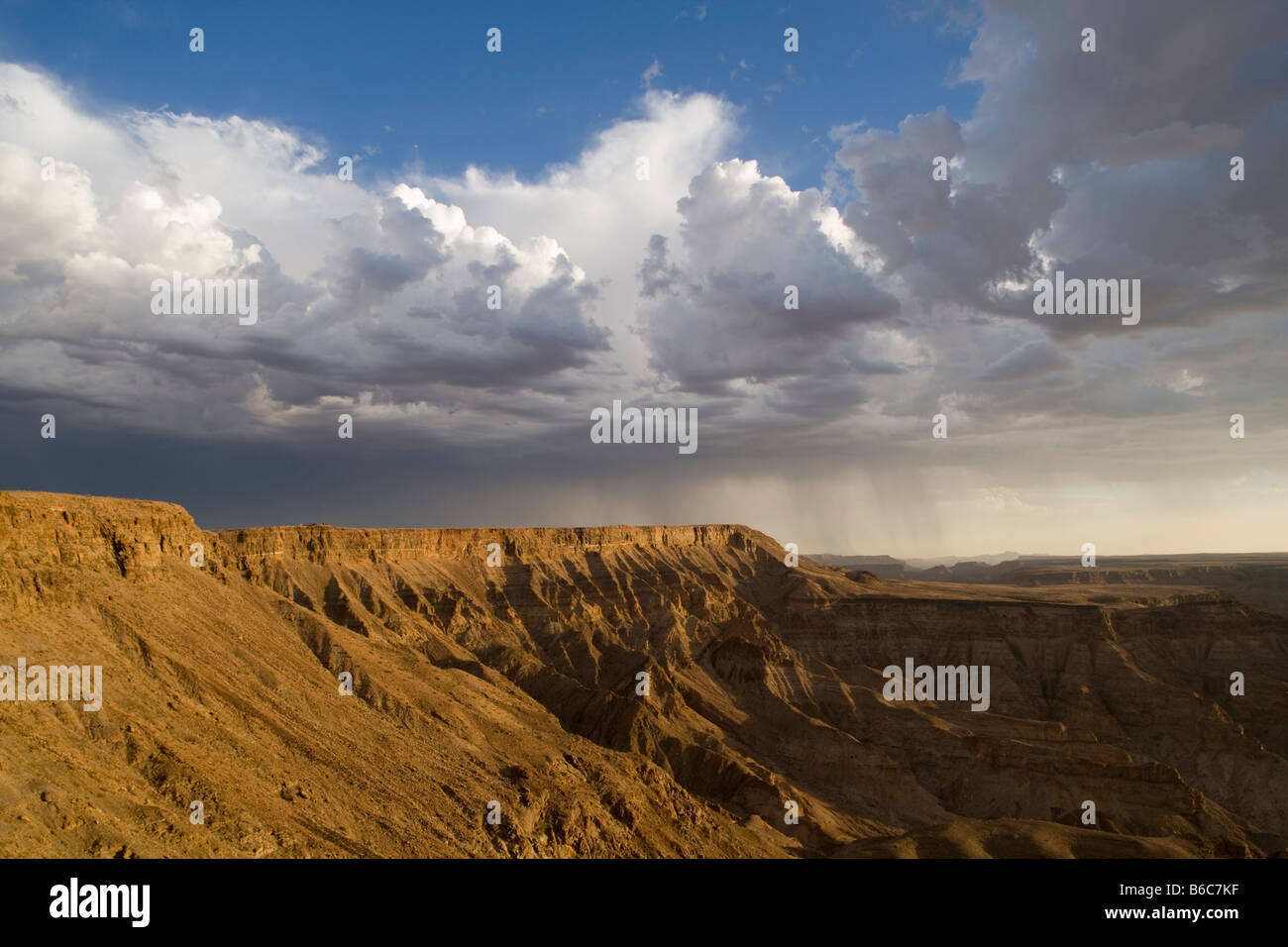 Namibia fish hi-res stock photography and images - Alamy
