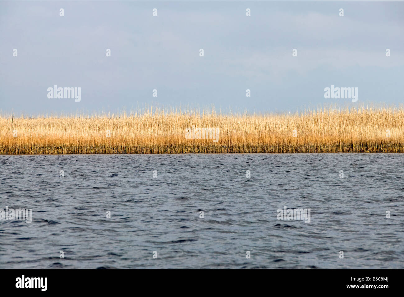Alabama river swamp hi-res stock photography and images - Alamy