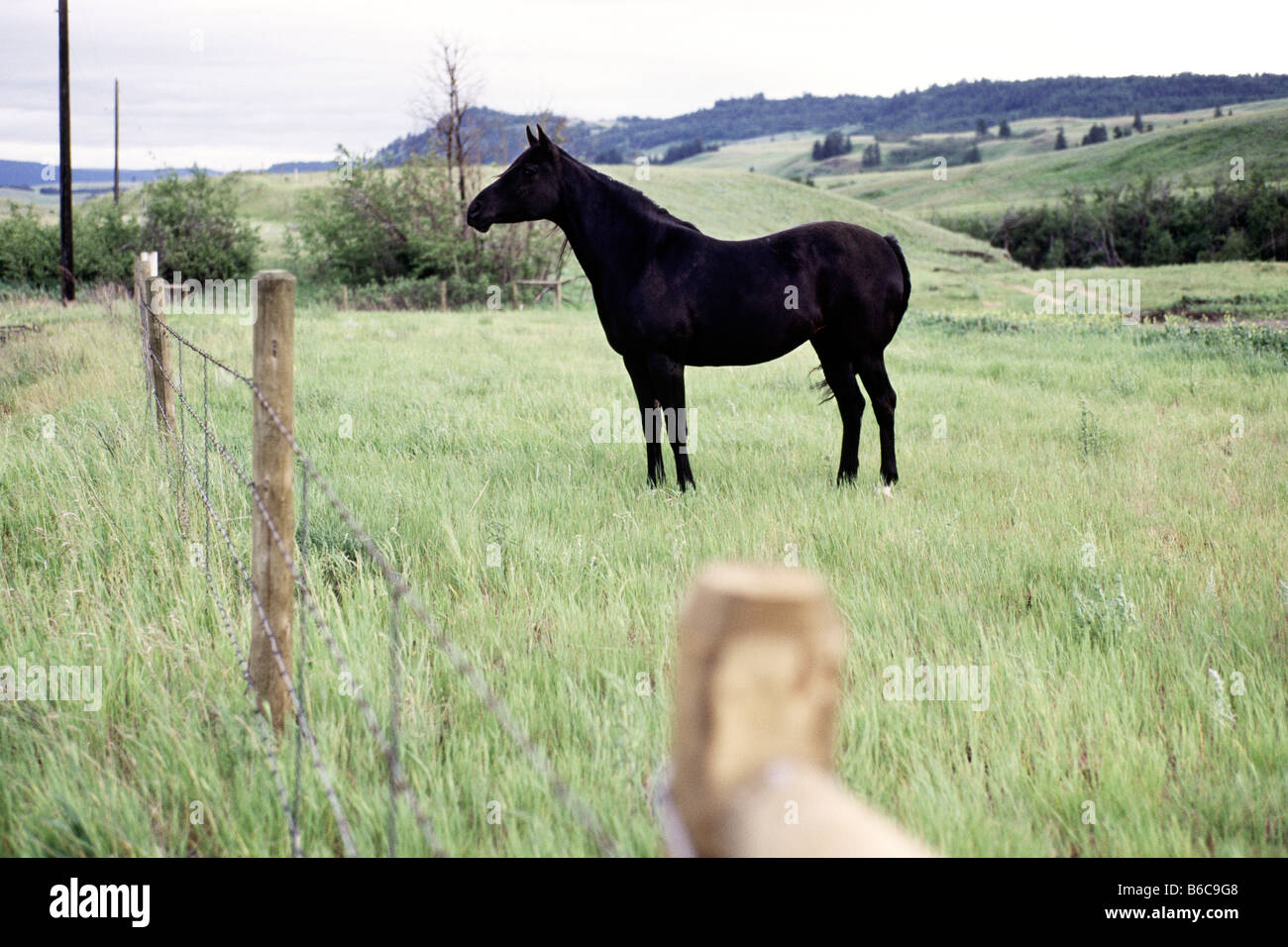 Old farm building horse hi-res stock photography and images - Alamy