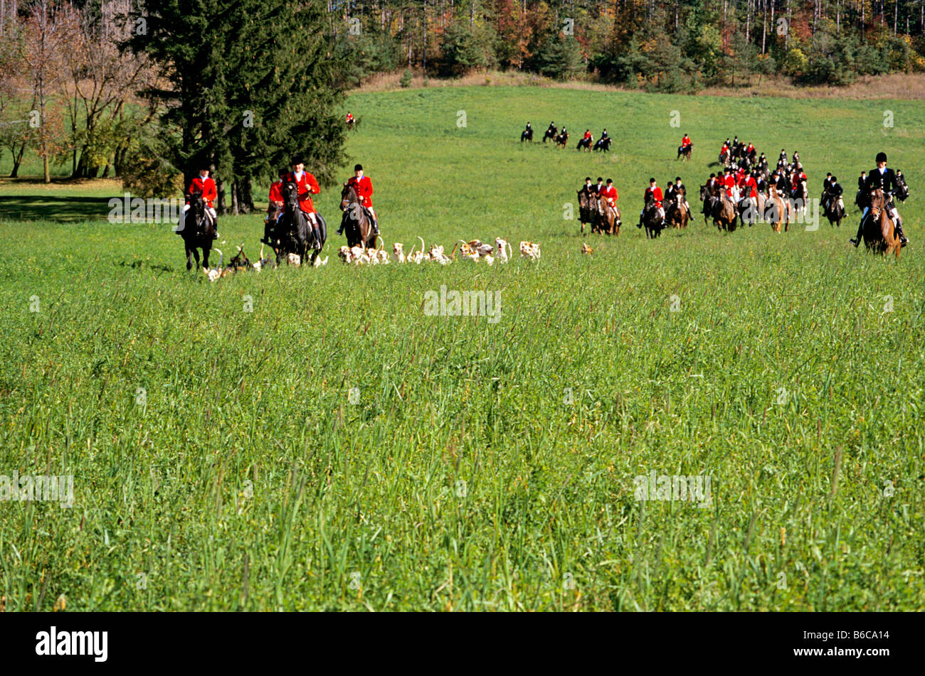 Caledon forest hi-res stock photography and images - Alamy