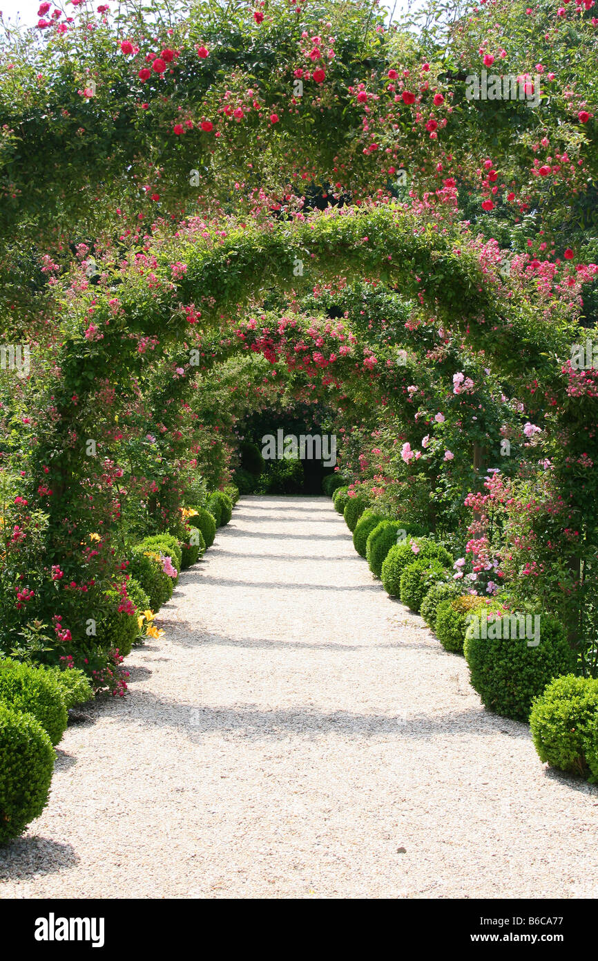 Roses Arch in the Garden Stock Photo - Alamy