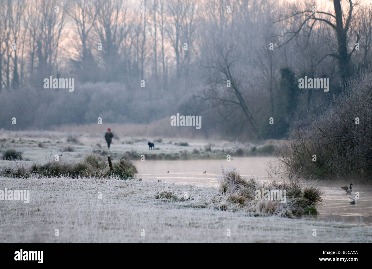 Uk landing card hi-res stock photography and images - Alamy