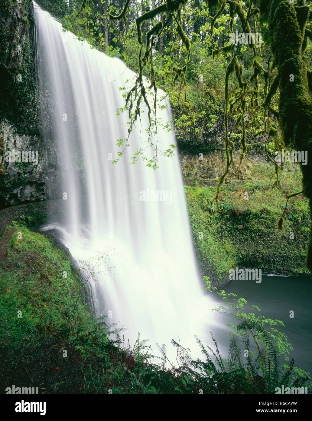 OREGON - North Middle Falls at Silver Falls State Park Stock Photo - Alamy