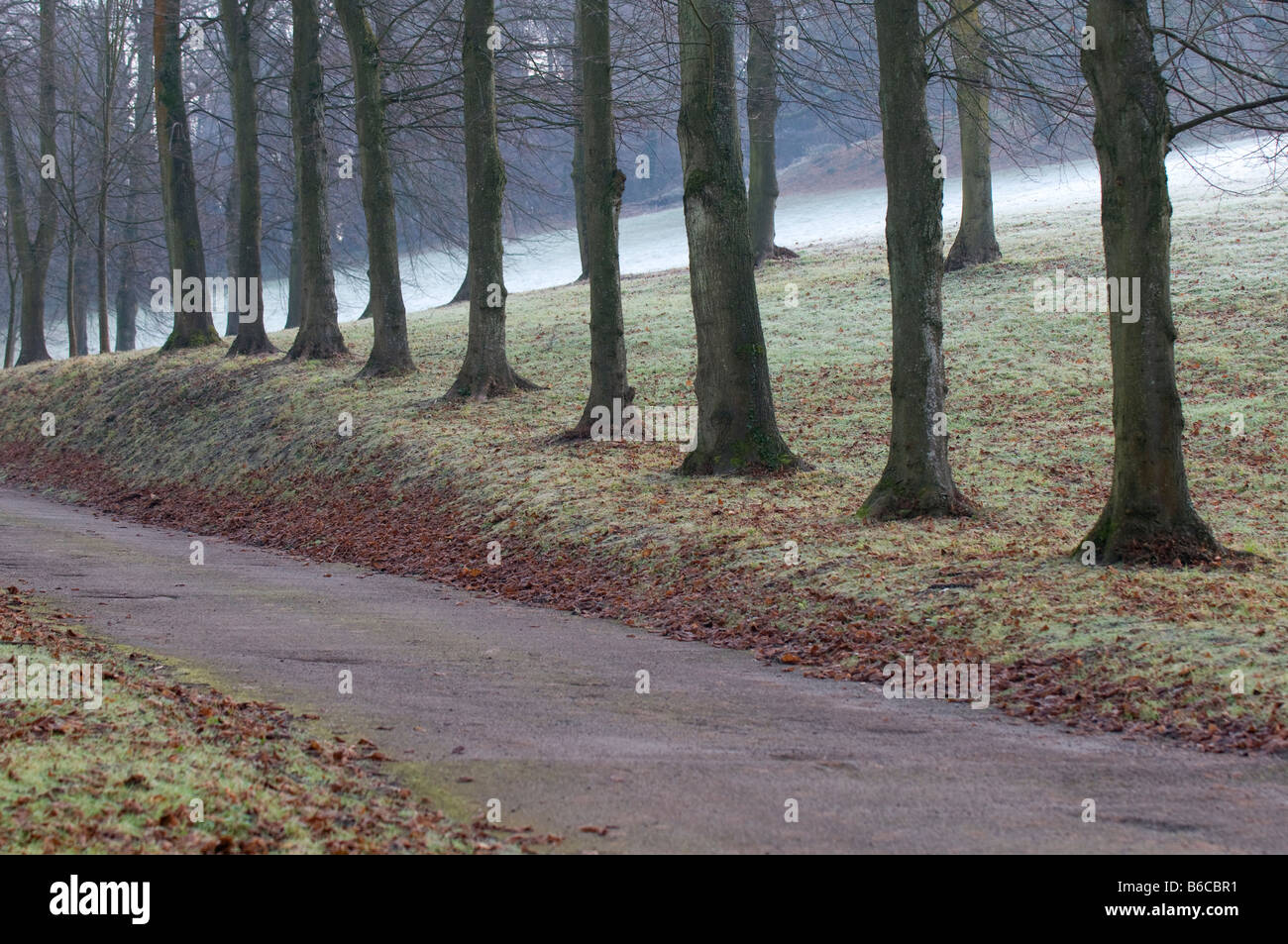 Lane frost hi-res stock photography and images - Alamy