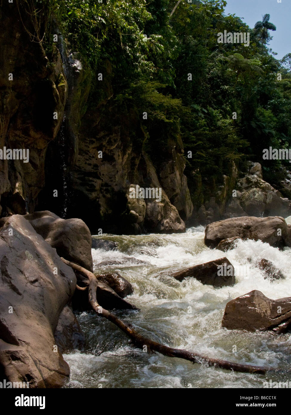 Tena ecuador hi-res stock photography and images - Alamy