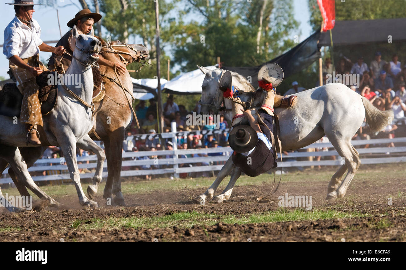 rodeo horse Uruguay fiesta gaucho cow-boy cowboy Stock Photo - Alamy