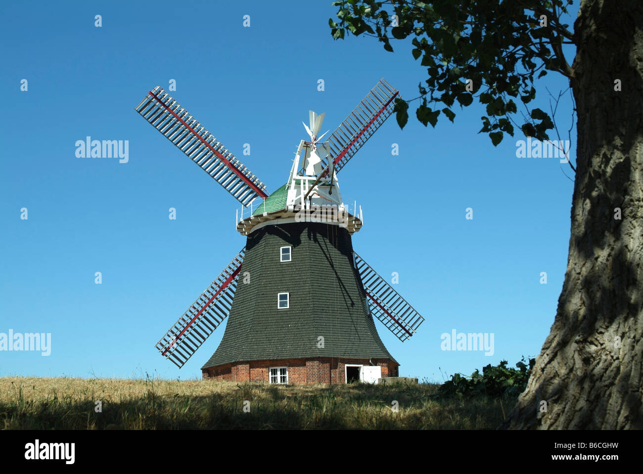 Traditional windmill in field Stock Photo - Alamy