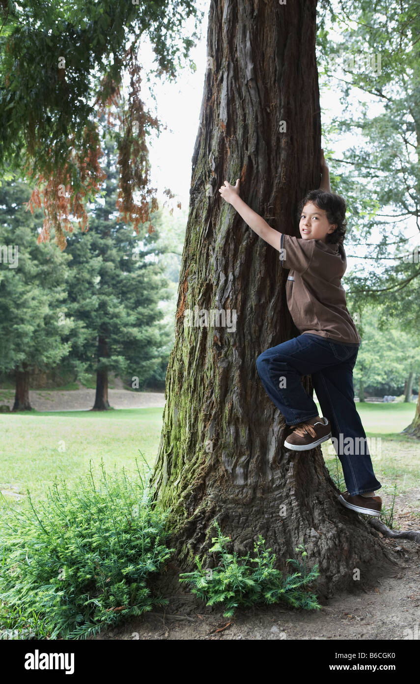 Asian boy climbing tree hi-res stock photography and images - Alamy