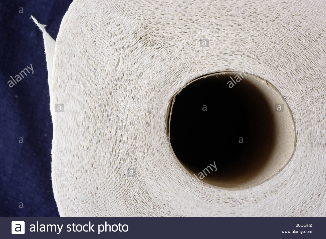 Old Fashioned Toilet Paper Stock Photos & Old Fashioned Toilet Paper ...