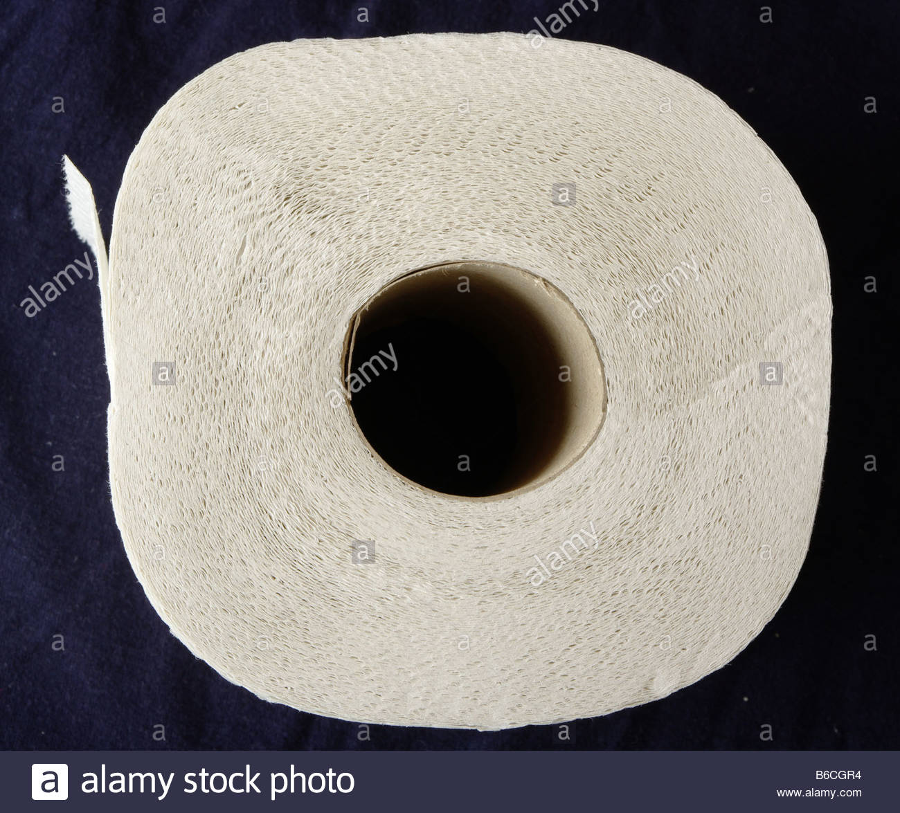 Old Fashioned Toilet Paper Stock Photos & Old Fashioned Toilet Paper ...