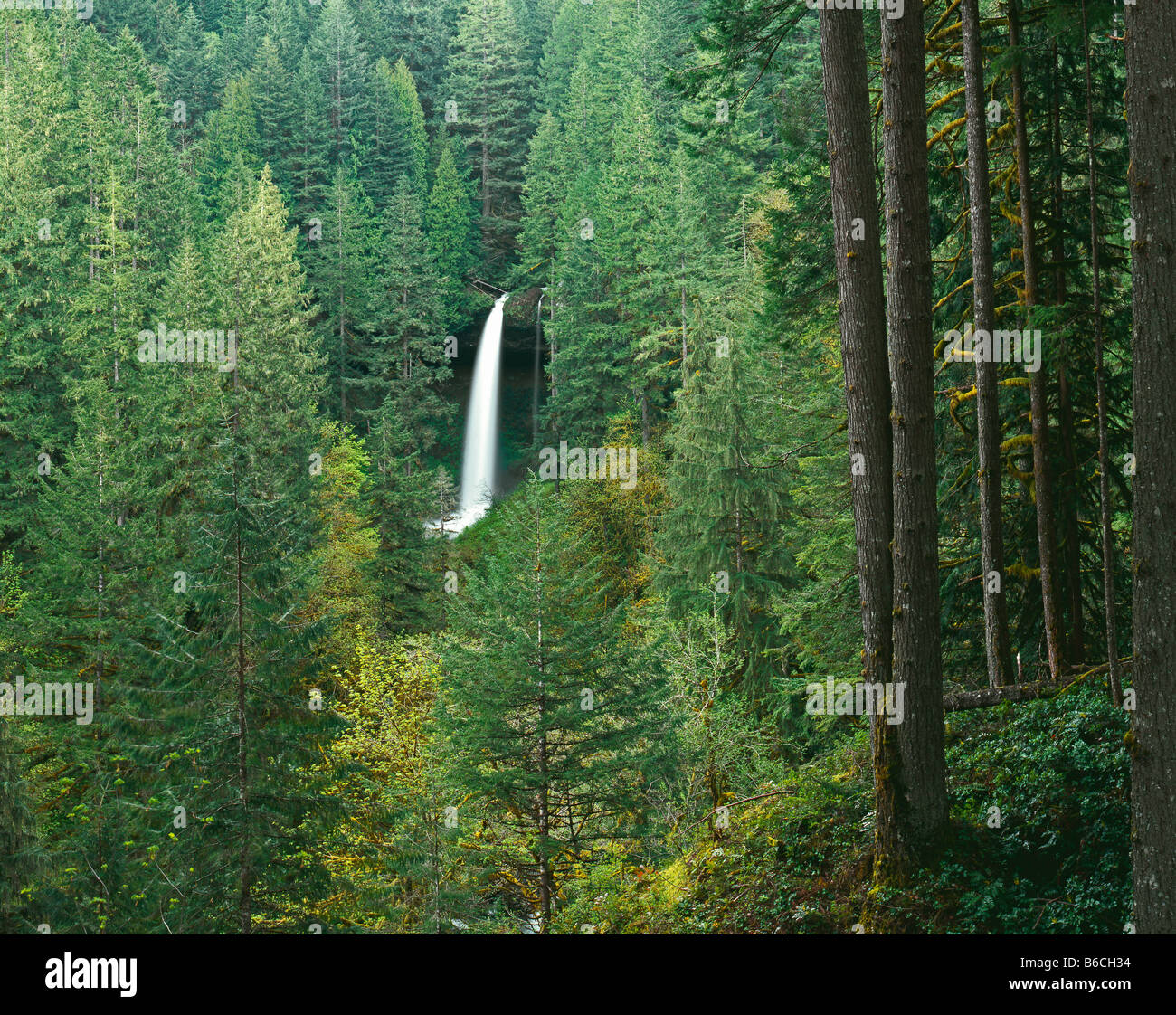 OREGON - North Falls at Silver Falls State Park Stock Photo - Alamy